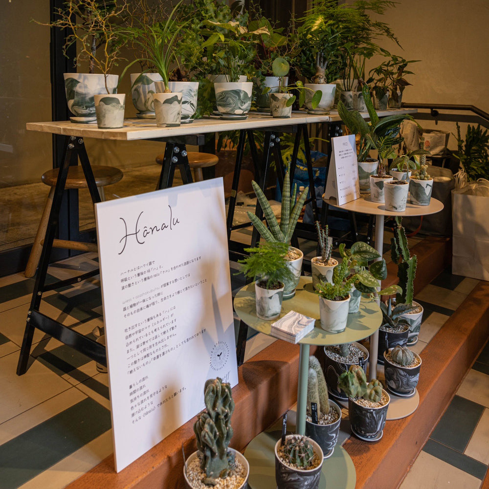 CASE STUDY | SHOP - KIT